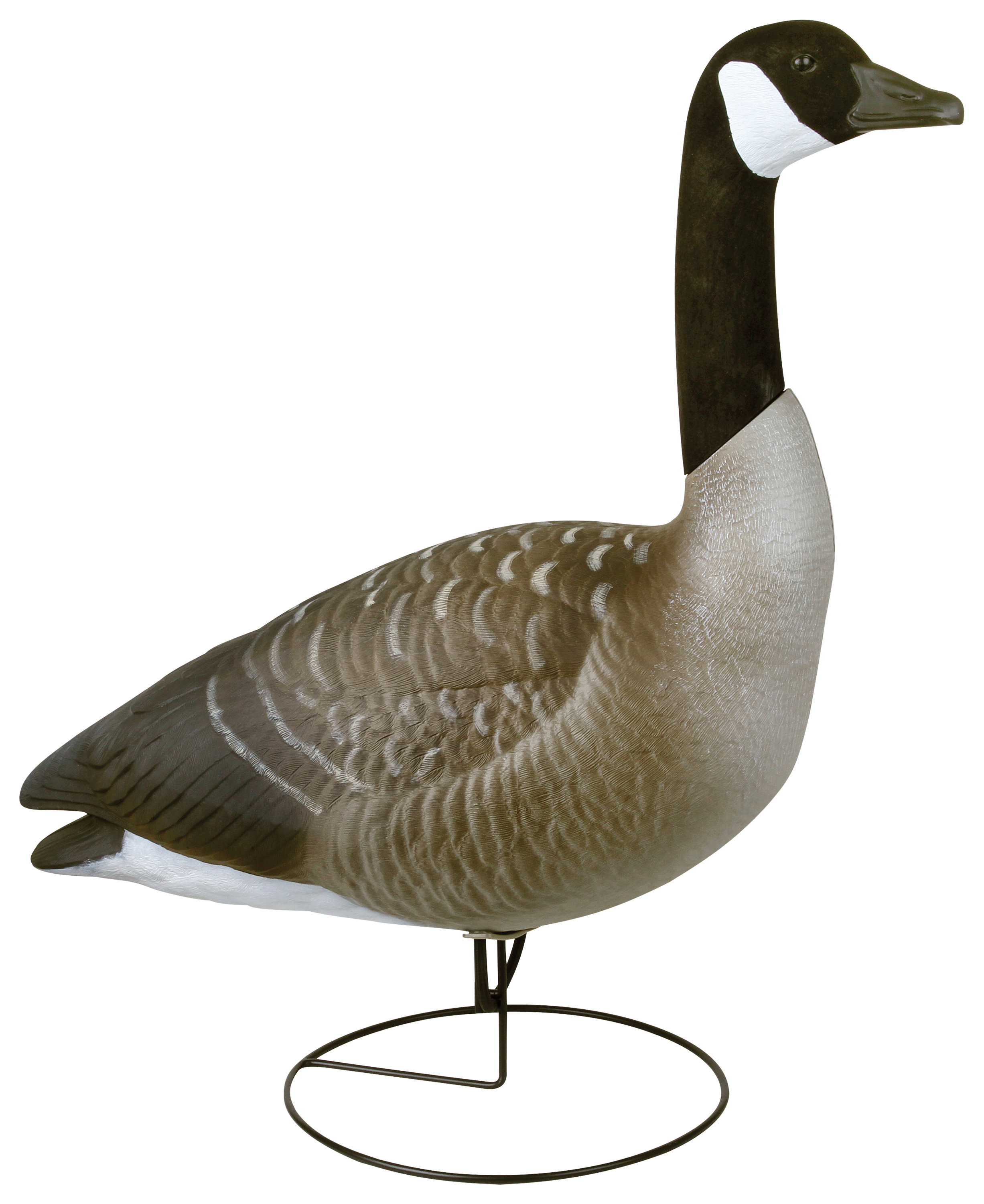 Flambeau Storm Front2 Full-Body Flocked-Head Canada Goose Decoys | Bass ...